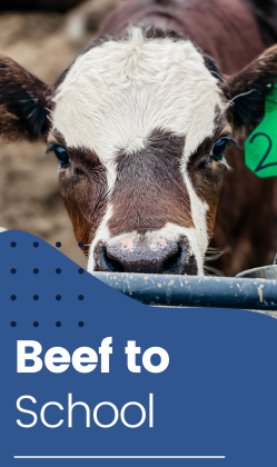 Local Beef Lands in School Lunches Next Month | True Dakotan