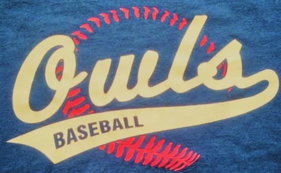 Owls Baseball returns to Springs | True Dakotan